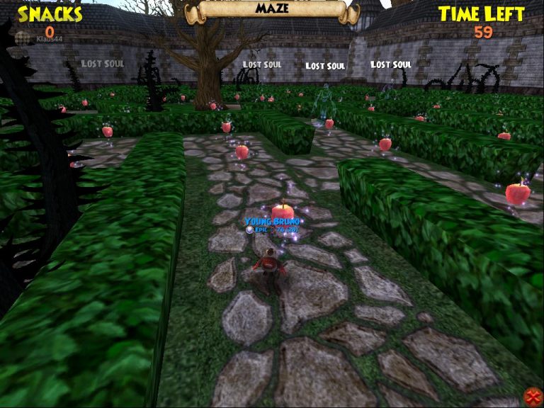 A Beginner's Guide to Wizard101 Pets - Final Bastion